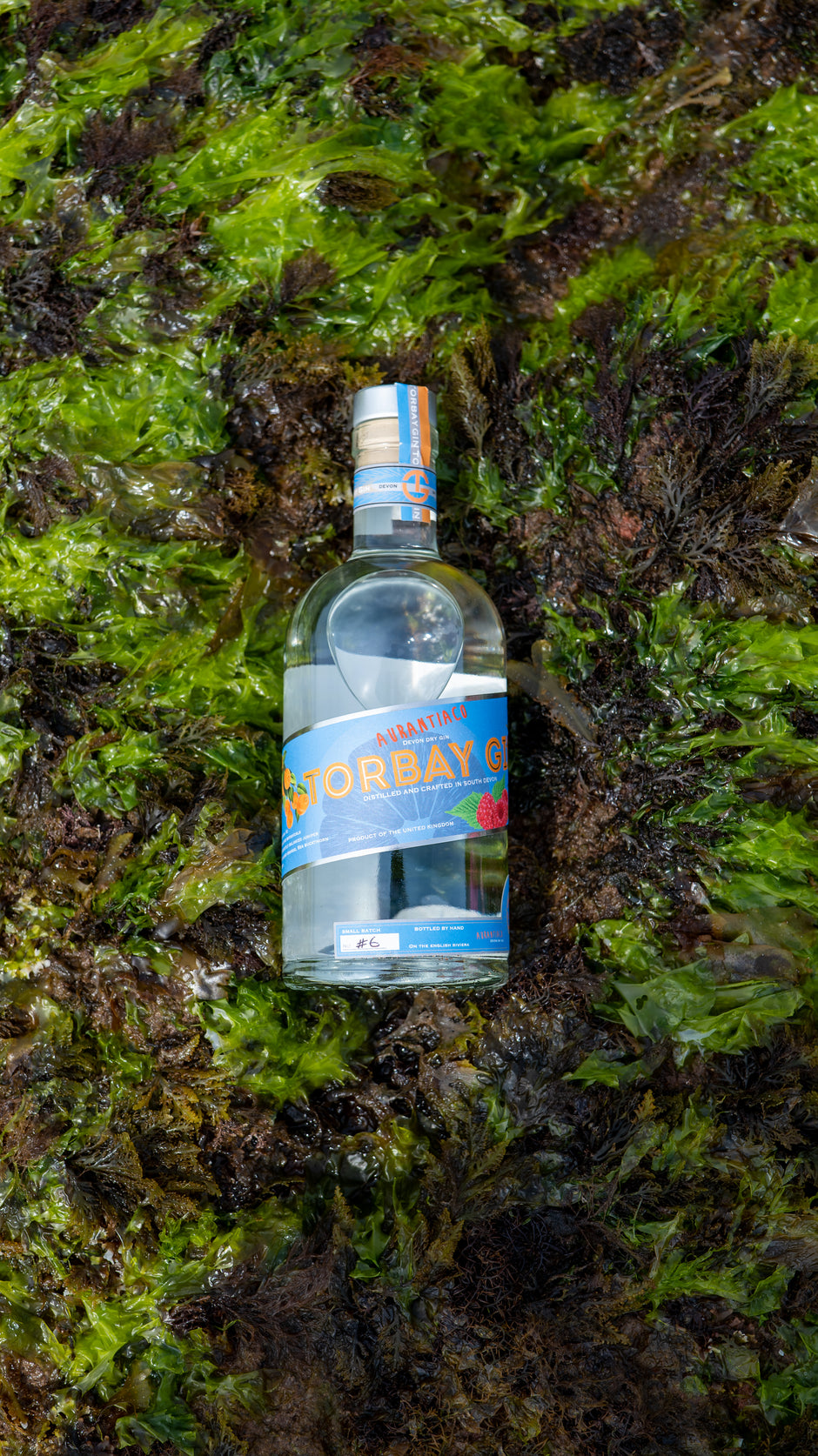 Torbay Gin | Award-Winning Micro Gin Distillery in Cockington