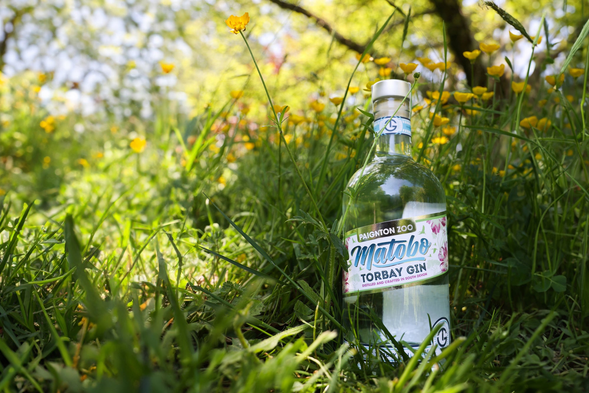 Torbay Gin | Award-Winning Gin Distillery in Cockington, Devon